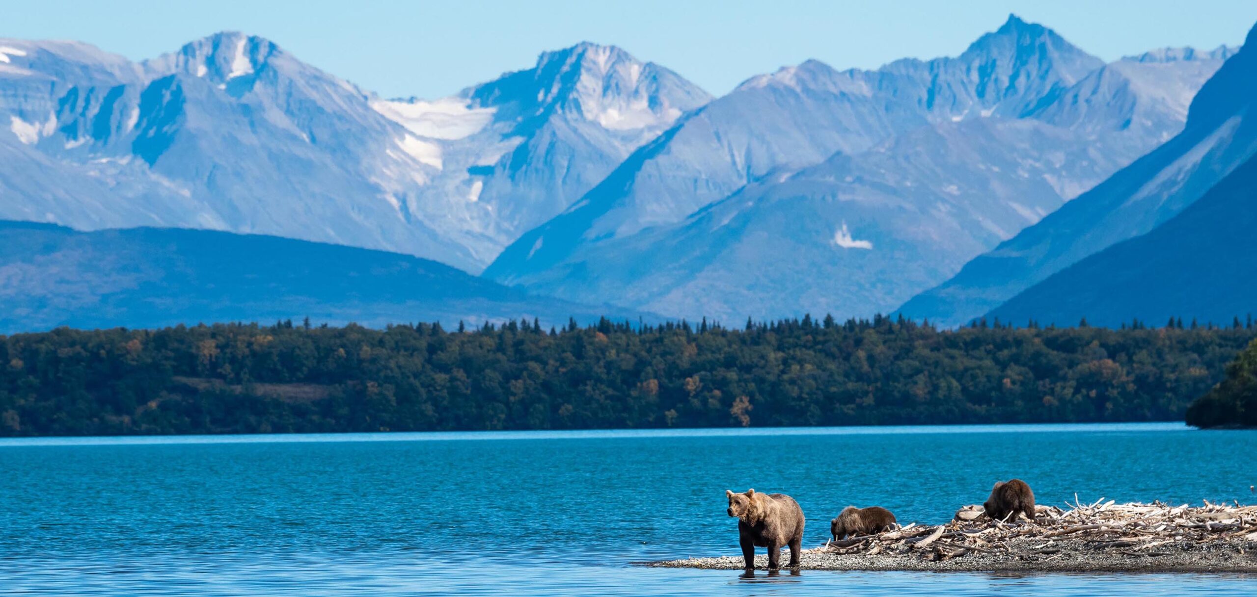 Alaska - American Council of Trustees and Alumni