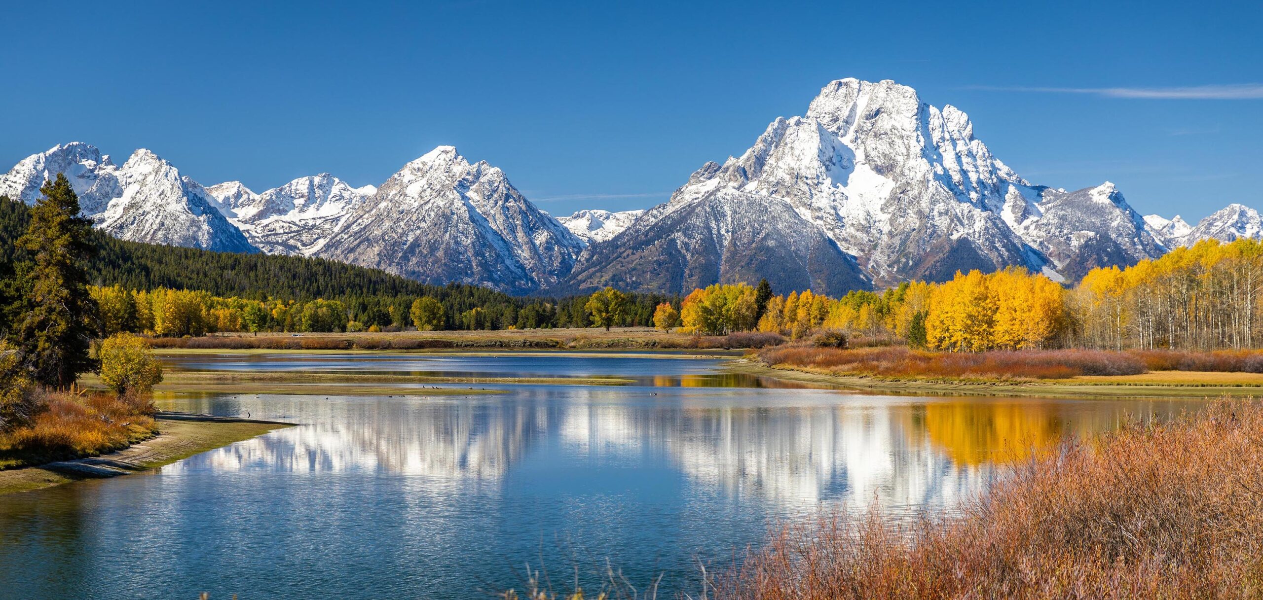 Wyoming - American Council of Trustees and Alumni